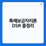 특례보금자리론 DSR 총정리 - 대한민국 정보사전